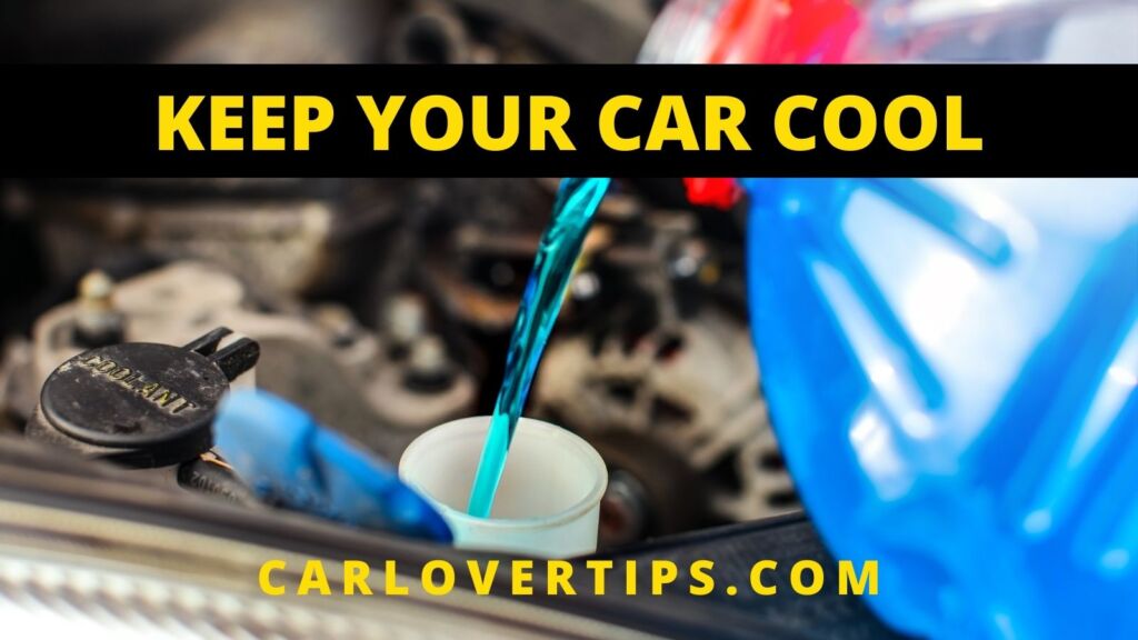 Real Car Tips (250) Video Expert Tips and Tricks - Car Lover Tips
