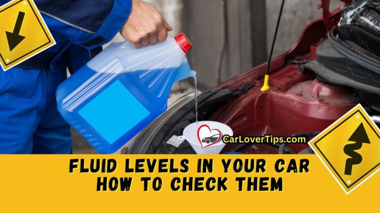 Fluid Levels In Your Car How To Check Them Guide Car Lover Tips